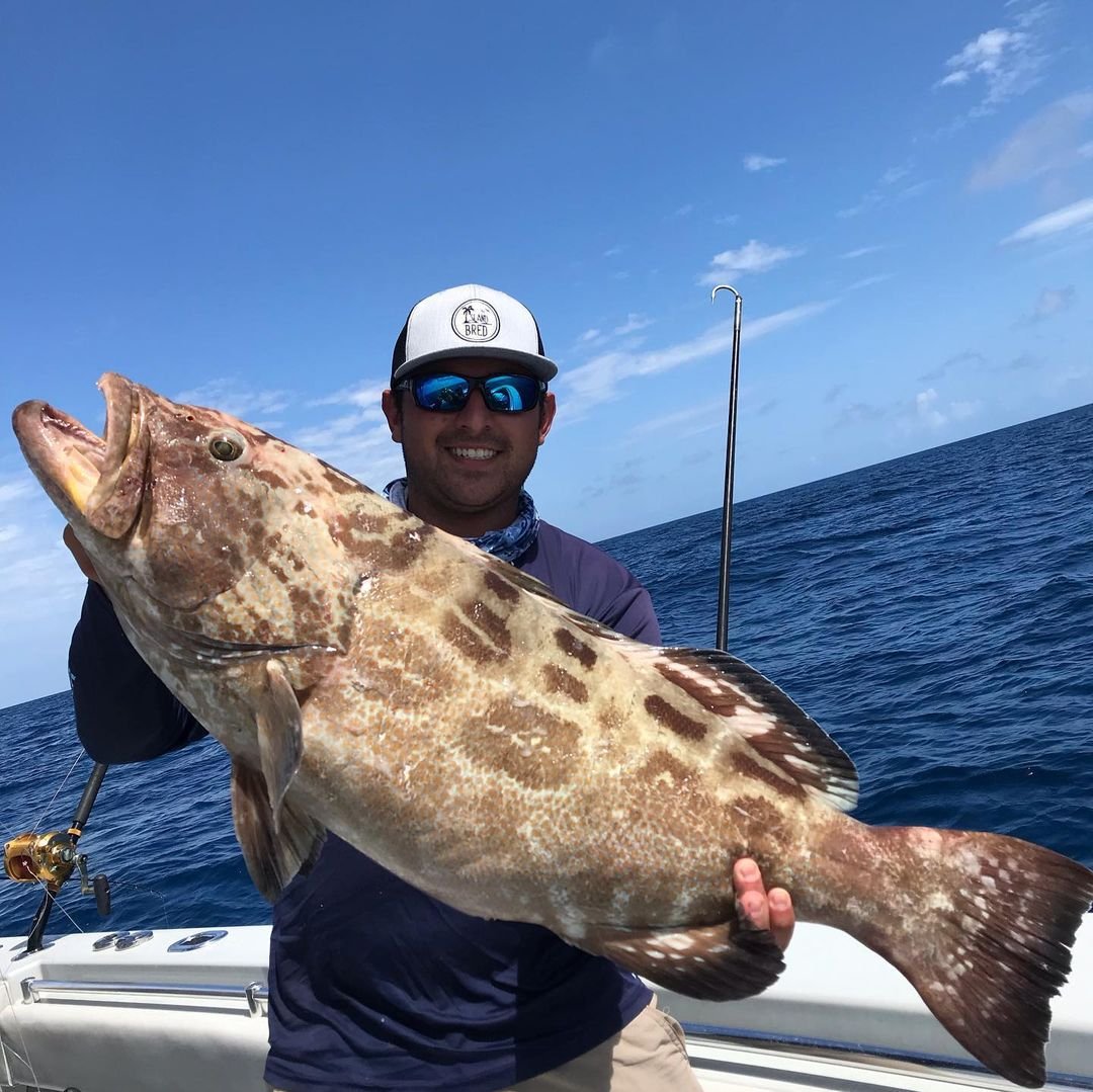 Best Half Day Fishing Charters Key West FL | Fish Daily Charters