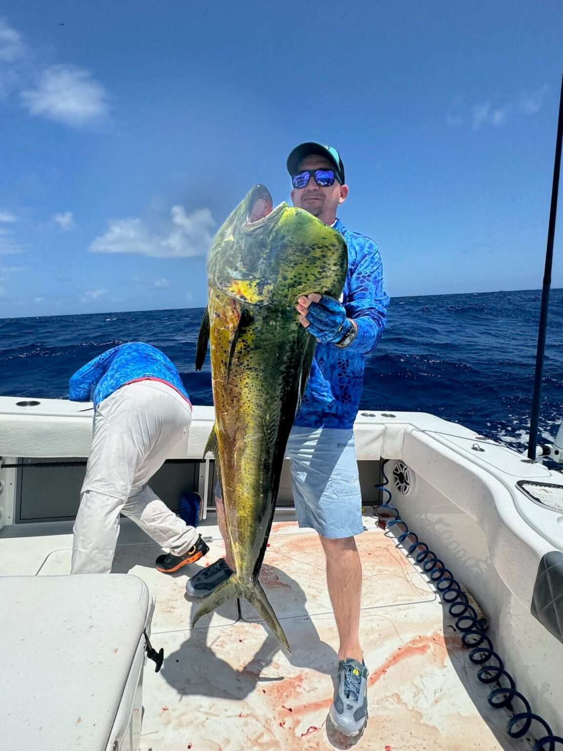 Best Mahi Mahi Fishing Charters In Key West | Fish Daily Charters