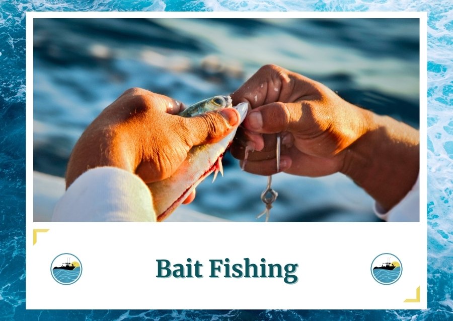Most Popular Fishing Techniques: A Comprehensive Guide - Fish Daily ...