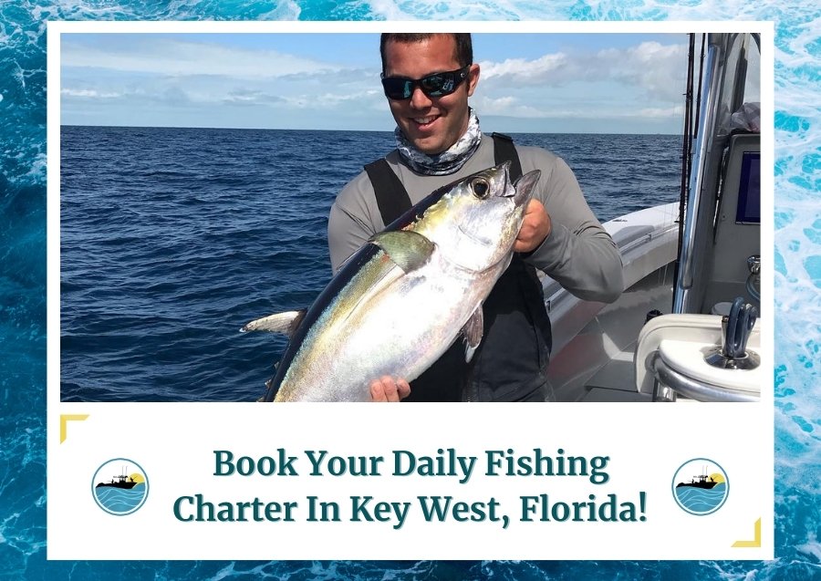 What is Trolling Fishing? The Ultimate Guide to Techniques, Gear, and ...