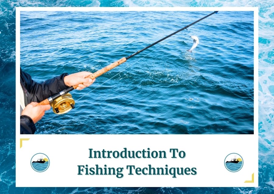 Most Popular Fishing Techniques: A Comprehensive Guide - Fish Daily ...