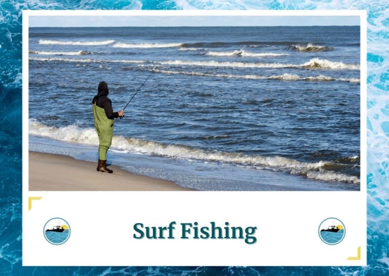 Most Popular Fishing Techniques: A Comprehensive Guide - Fish Daily ...