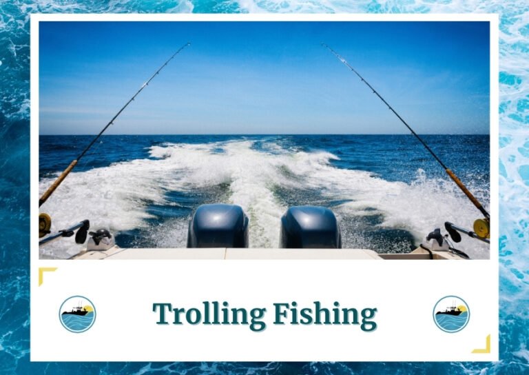 Most Popular Fishing Techniques: A Comprehensive Guide - Fish Daily ...