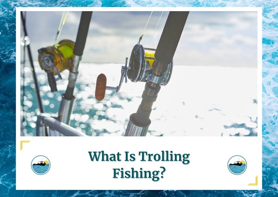 What is Trolling Fishing? The Ultimate Guide to Techniques, Gear, and ...