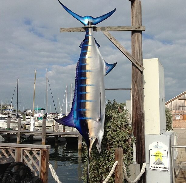 Key West Swordfish Fishing Charters | Fish Daily Charters